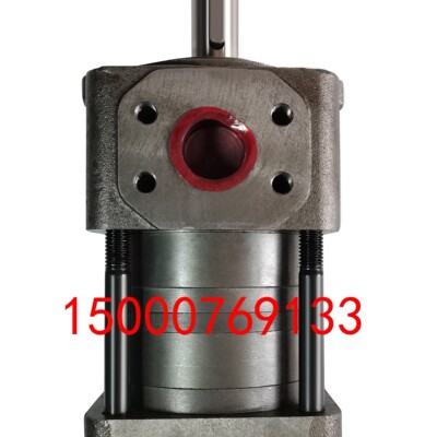 NT2-G10F G12F G16F NT3-G20F G25F G32F NT4-G40F G50F G63F油泵