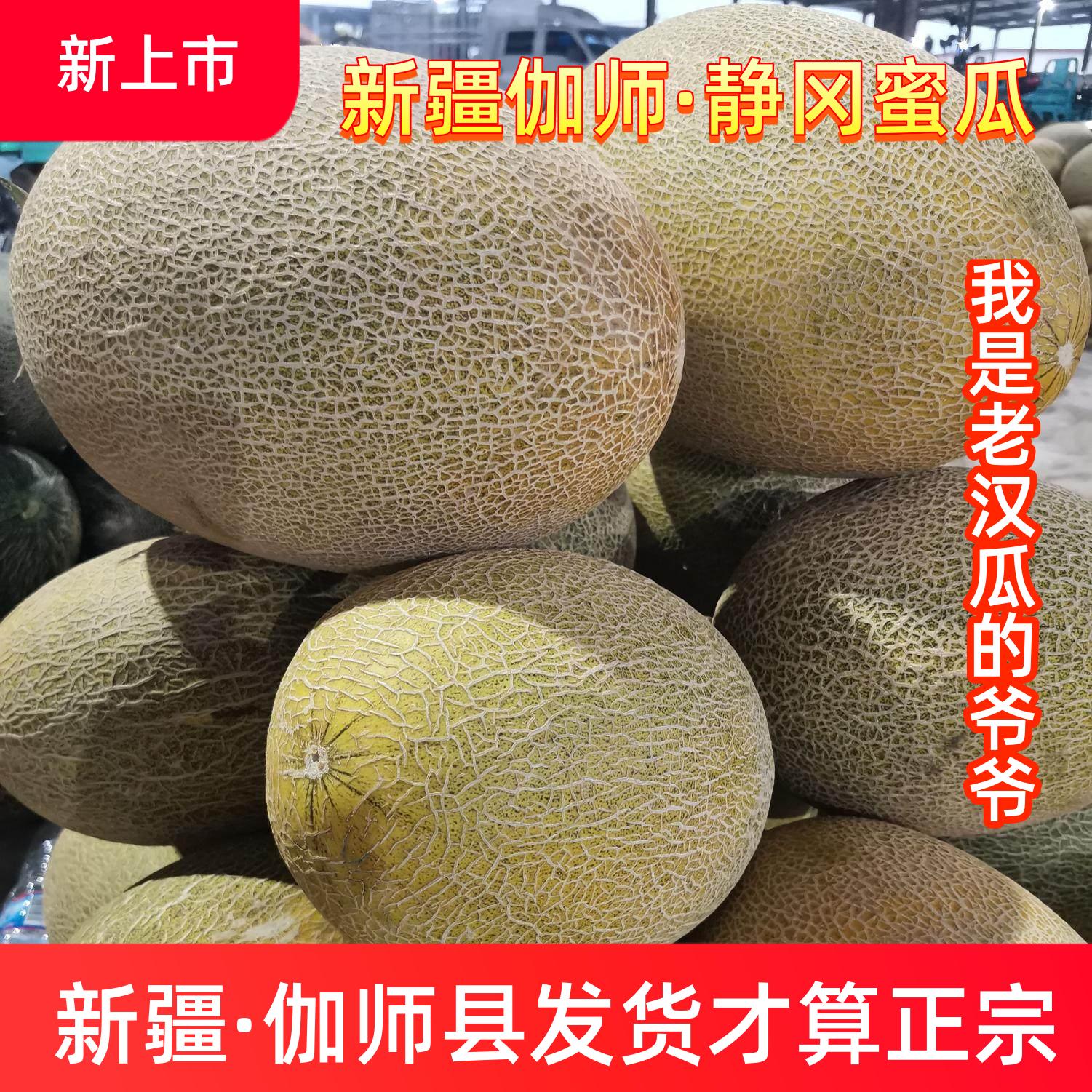 新疆伽师瓜库克拜热老汉瓜日本静冈全网纹蜜瓜哈密瓜应季新鲜水果