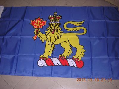 New Reproduced British Empire Governor 亚马逊WISH EBAY