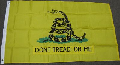 外贸货源YELLOW GADSDEN DON'T TREAD ON ME Flag亚马逊WISH EBAY