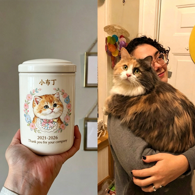 猫咪狗狗灰骨盒手绘定制陶瓷罐密封防潮纪念收藏动物宠物骨化盒