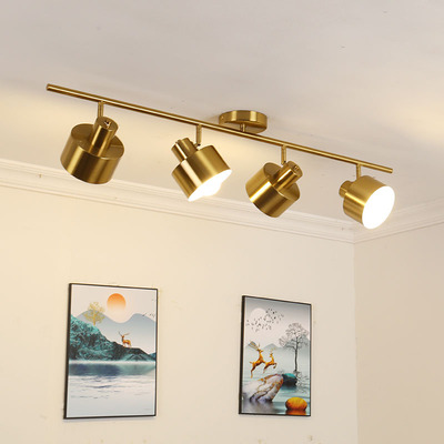 护眼可调角吸顶射灯客厅餐厅