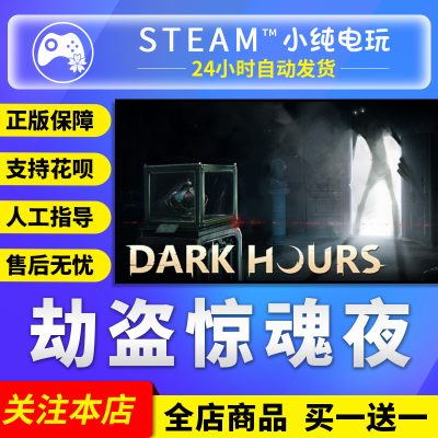 Steam正版劫盗惊魂夜国区礼物