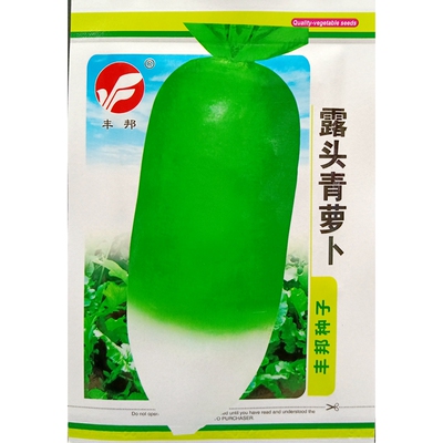 露头青青萝卜丰邦青皮萝卜种子