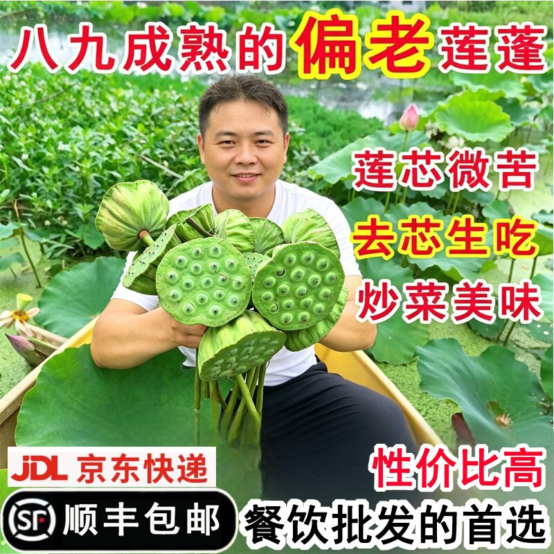 洪湖莲蓬新鲜太空莲蓬现摘现发水生蔬菜莲子带壳老莲蓬水果莲蓬