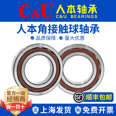 人本角接触球轴承系列7204 7205 7206 7207 7208 7209 7210 AC/P6