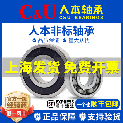 人本非标轴承62/22 62/28 63/22 63/28 60/22 TM62/32 60/28-2RSA