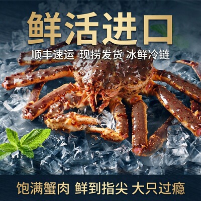 帝王蟹鲜活生冻冰鲜俄罗斯进口生冻海鲜水产特大长脚螃蟹整只饱满
