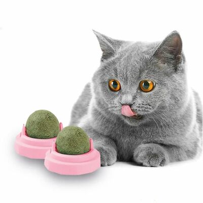 Natural Catnip Cat Wall Toy Sticky Ball Scratcher Treats Hea