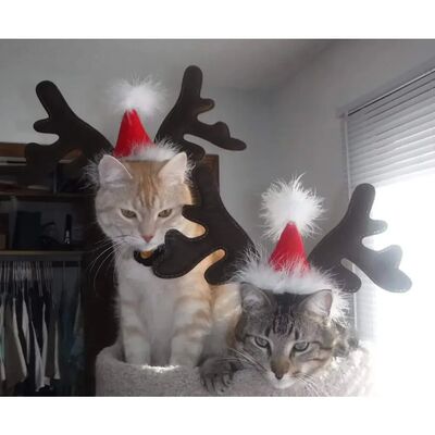 Pet Christmas Reindeer Antler Headband with Santa Hat Dog Ca