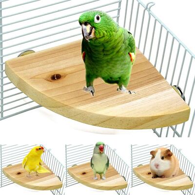 Fan-shaped Parrot Wooden Stand Rack Bird Cage Accessories Pe