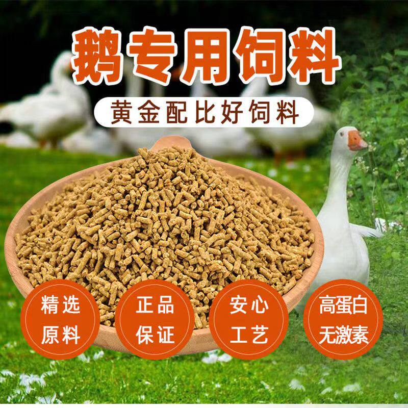 小鹅饲料中大鹅专用饲料喂产蛋鹅饲料大鹅小雏鹅狮头鹅苗颗粒饲料