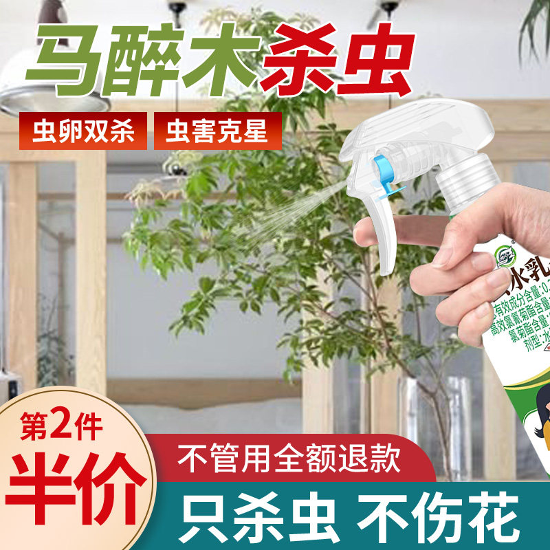 马醉木杀虫剂花卉植物土壤灭盆栽小飞虫药蚧壳虫蚜虫打虫家