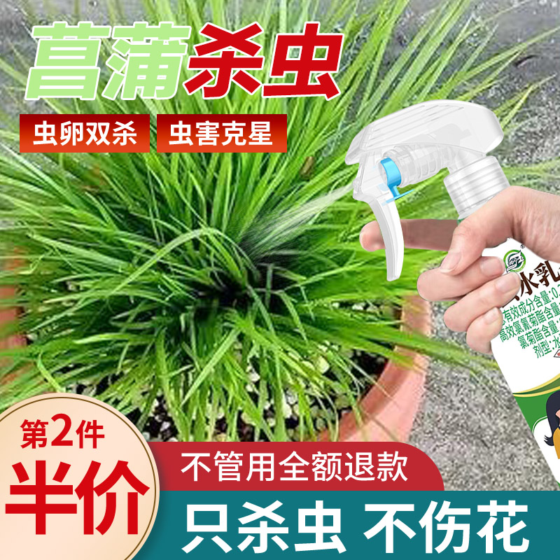 菖蒲杀虫剂花卉植物土壤灭盆栽小飞虫药蚧壳虫蚜虫打虫家用治