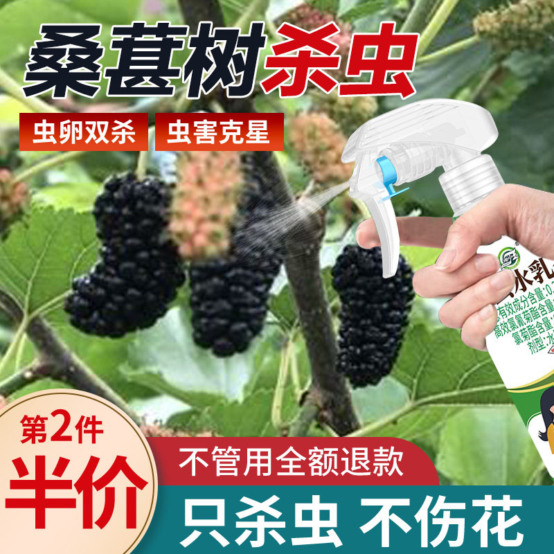 桑葚树杀虫剂花卉植物土壤灭盆栽小飞虫药蚧壳虫蚜虫打虫家