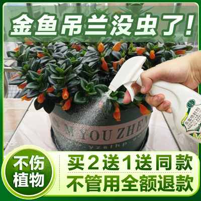 金鱼吊兰杀虫剂花卉植物土壤灭盆栽小飞虫药蚧壳虫蚜虫打虫家用
