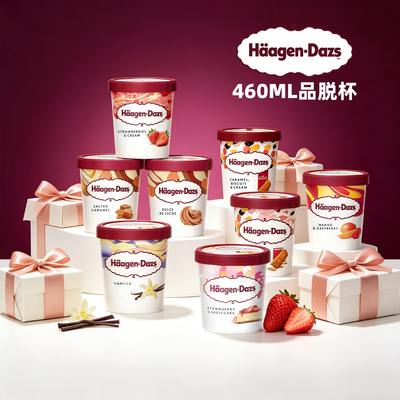 哈根达斯品脱杯460ML大杯