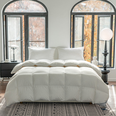 五星级全棉加厚保暖羽绒被芯