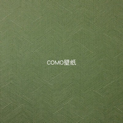 现货 HW比利时进口Hooked On Walls现代简约风 绿色墙纸壁纸19508