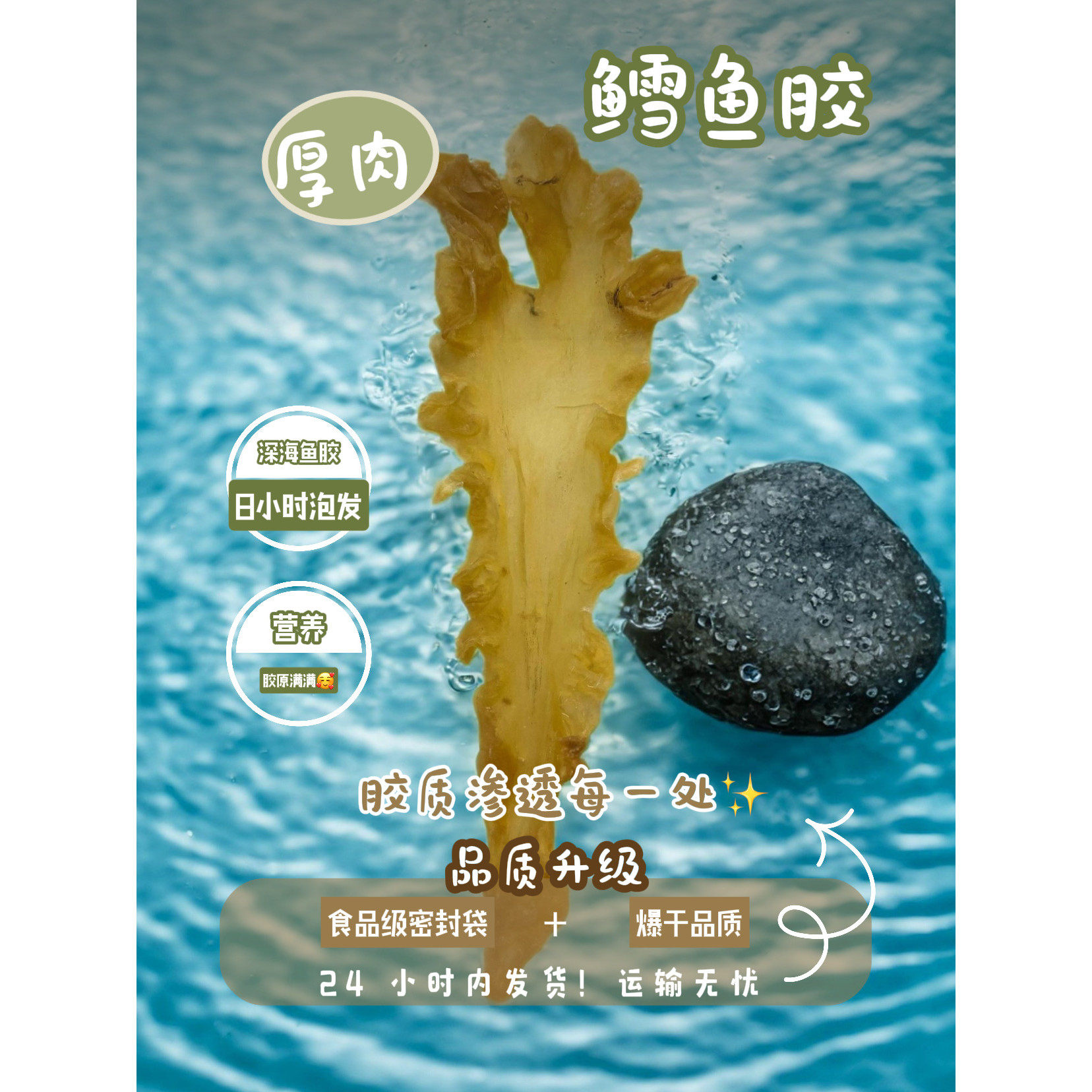 鳕鱼胶花胶天然干净无杂质无添加花胶鱼胶无干燥剂配重
