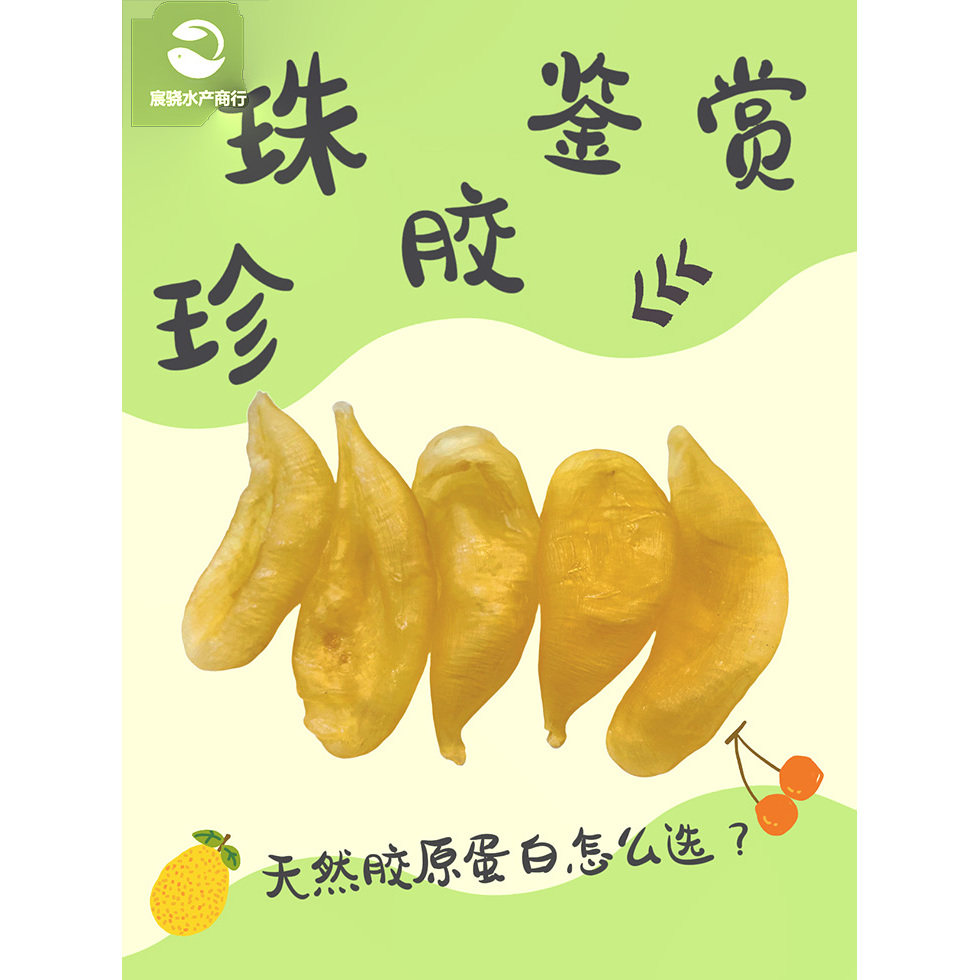 深海珍珠胶小黄花鱼胶花胶粥营养早餐代餐奶冻煲汤孕产滋补