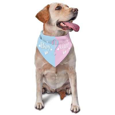 Gender Reveal Pet Bandana - Pink Blue Triangle Scarf for Bab