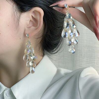 轻奢时尚优雅水晶水滴流苏耳环精致冷淡风洋气高级感小众耳饰新款