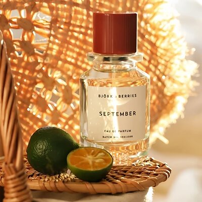 Biork and Berries比约克浆果香水白桦之林ROS成韩彬同款协同试香