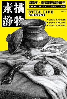 高考素描静物解密肖器宇 静物画素描技法高中参考资料考试书籍