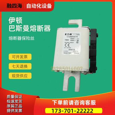 快速熔断器保险170M5975 170M5981 170M5982 170M5983【议价】