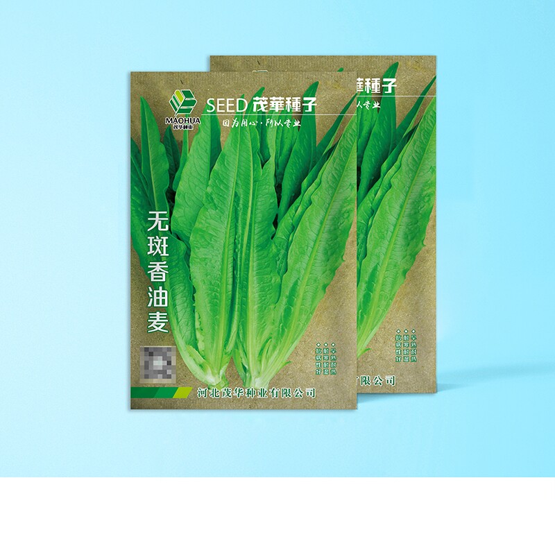 中科茂华蔬菜种子油麦菜生菜种子20天可采摘家庭园艺阳台盆栽种植
