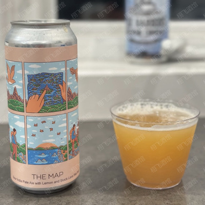 美国进口精酿啤酒哈德逊河谷双倍剪影桃双倍酸IPA罐装473ML