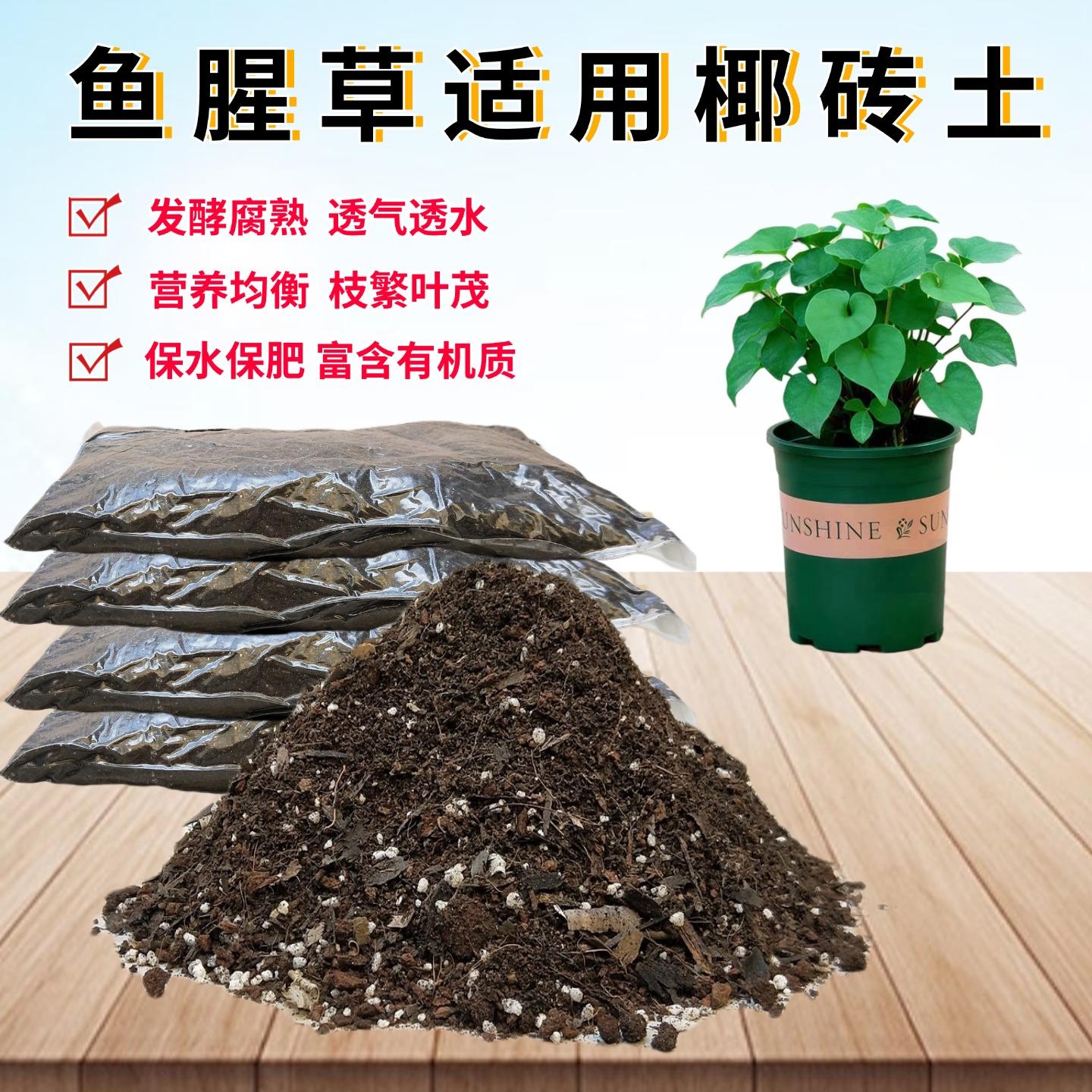 花叶鱼腥草折耳根营养椰糠土盆栽绿植物专用翻换有机土壤肥沃透气