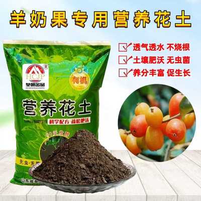 羊奶果营养花土种植土疏松透气