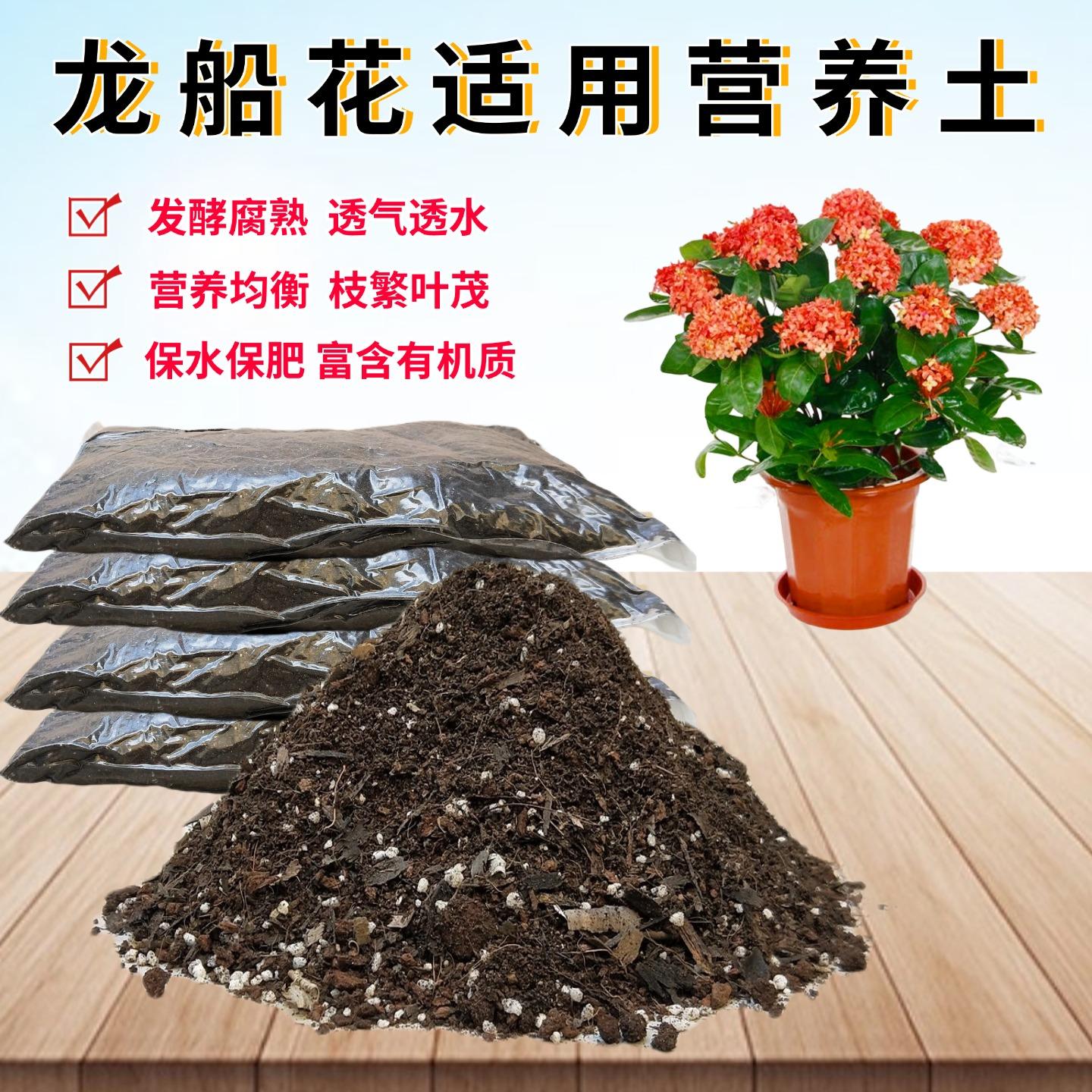龙船花小叶仙丹花营养椰砖土室内庭院老桩盆栽绿植专用种植土透气