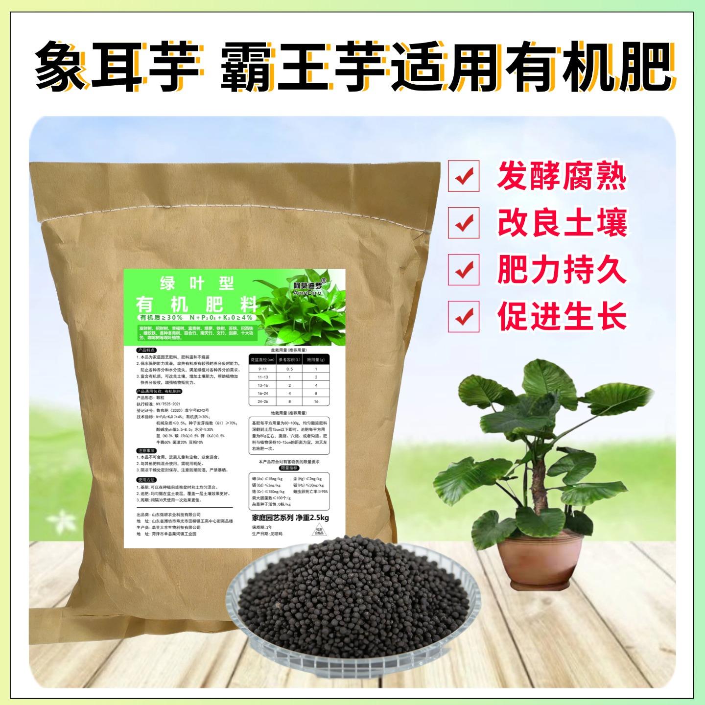 紫色大叶霸王芋象耳芋营养液老桩盆栽绿植专用发酵营养基底花肥料