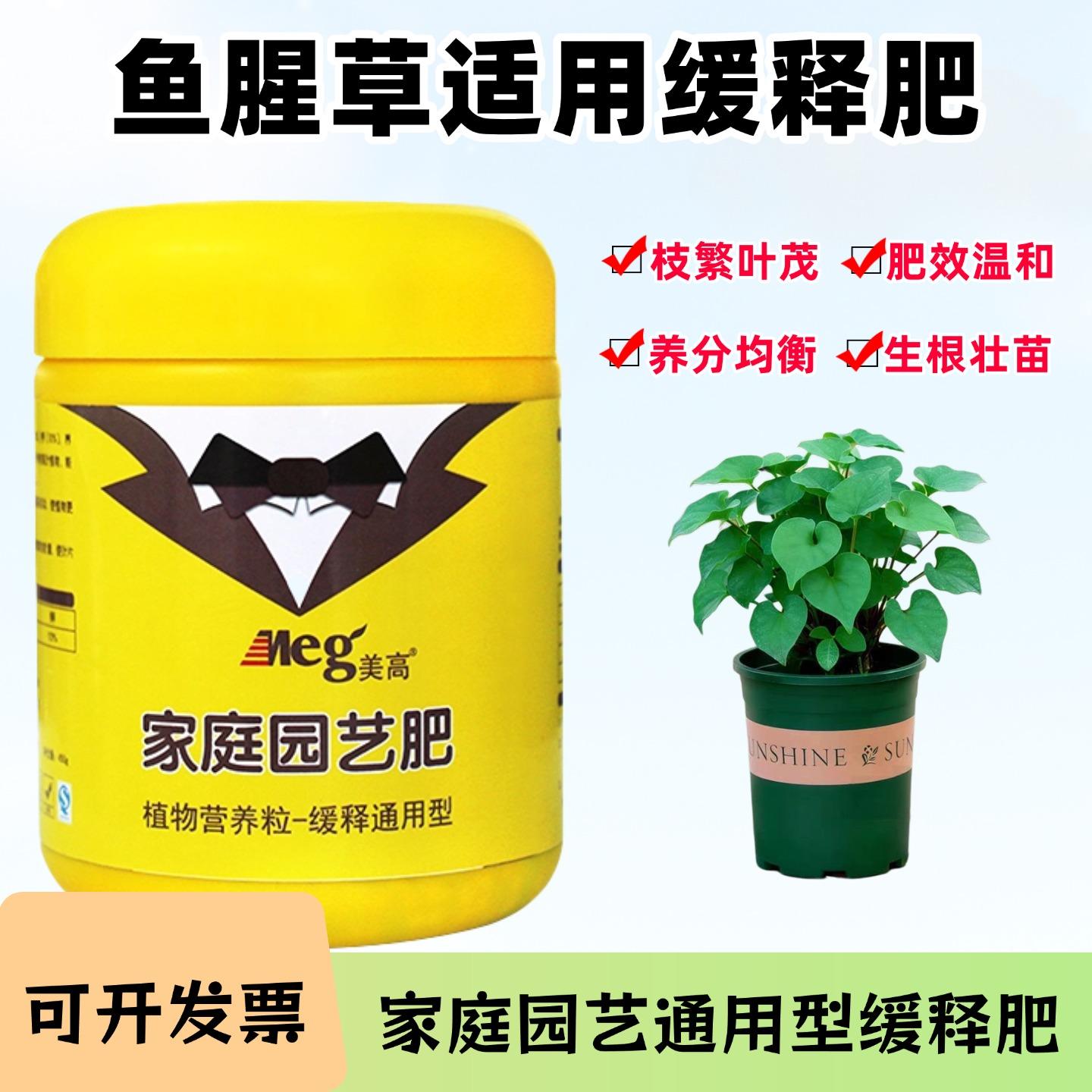 花叶鱼腥草折耳根缓释肥庭院盆栽地栽绿植物专用氮磷钾复合花肥料
