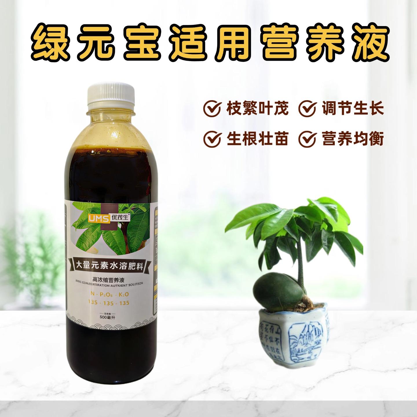 绿元宝开心果栗豆树营养液室内盆栽绿植物专用大量元素水溶花肥料