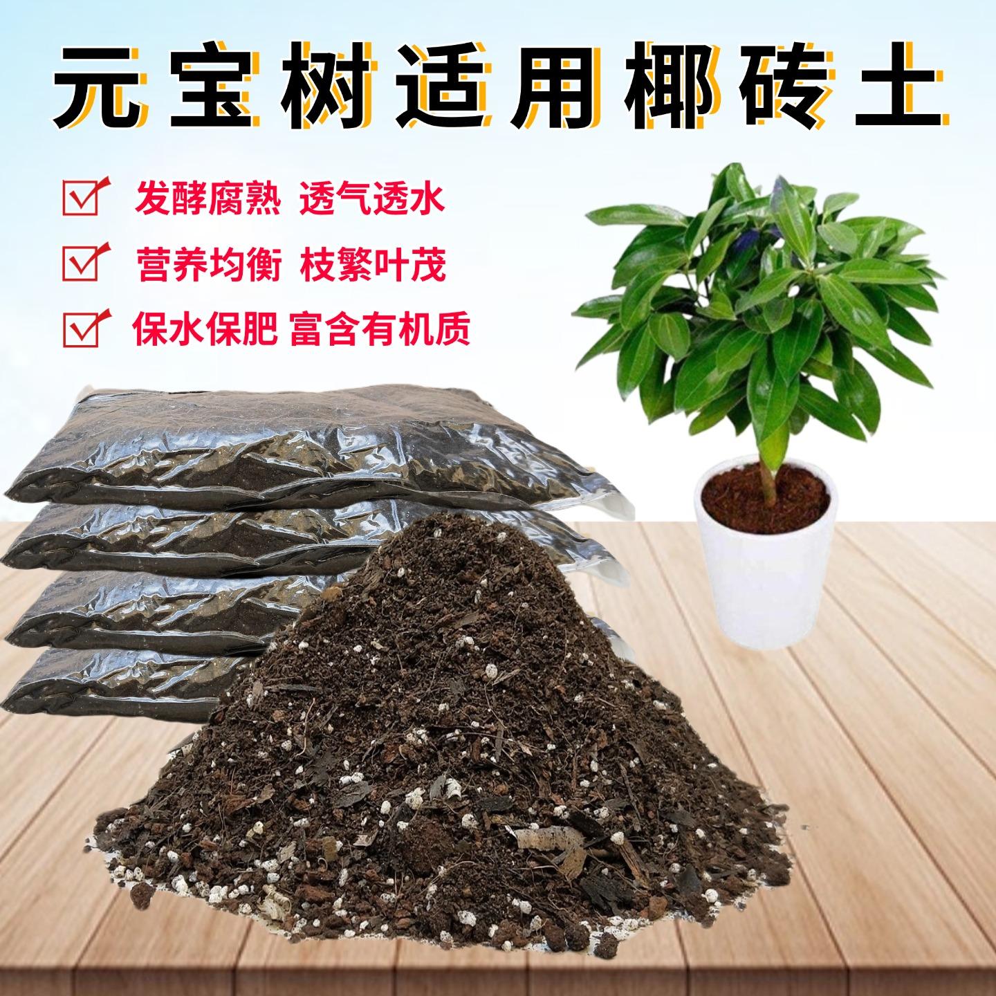 元宝树营养椰糠土室内客厅大型家盆景栽绿植物专用翻换种植土透气