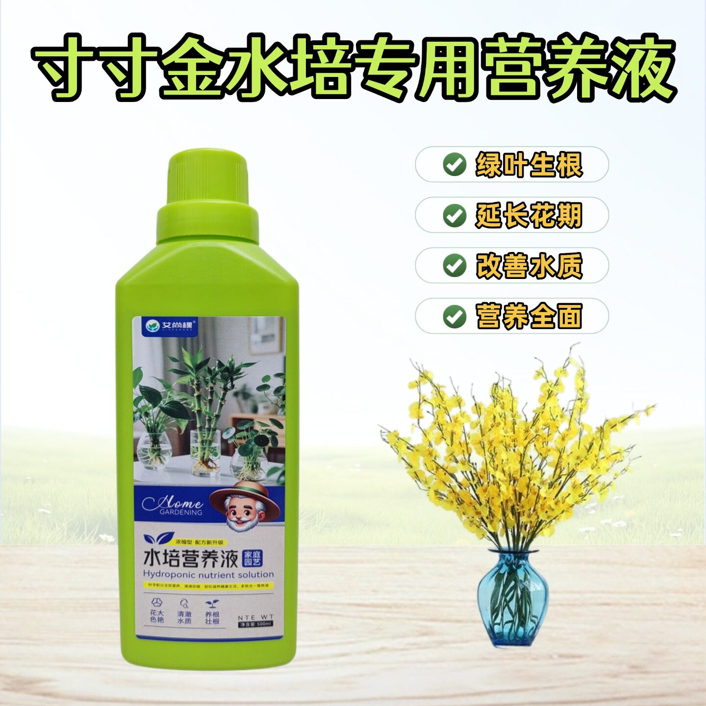 寸寸金连翘水培专用营养液室内水养干枝鲜枝盆栽绿植物水溶花肥料