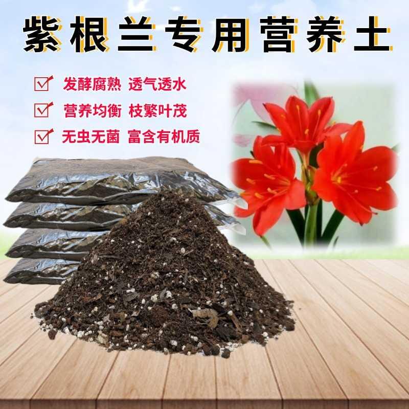 紫根兰种球乔治百合专用营养椰砖土盆栽绿植物翻换育苗种植土透气