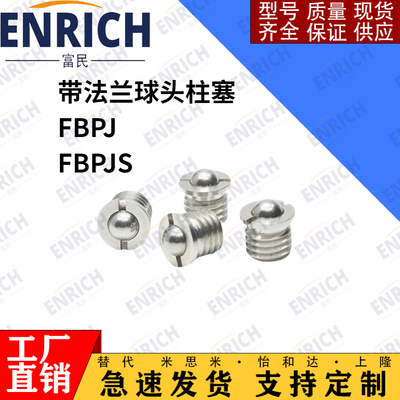 带法兰球头柱塞FBPJF