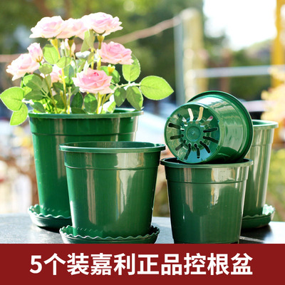 塑料育苗盆简约加高君子兰专用