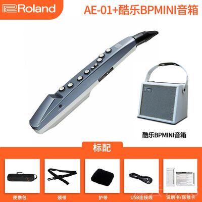 高档Rolan罗电吹克管乐器AE0d1C AE05电子萨斯兰娱乐初学管乐葫芦