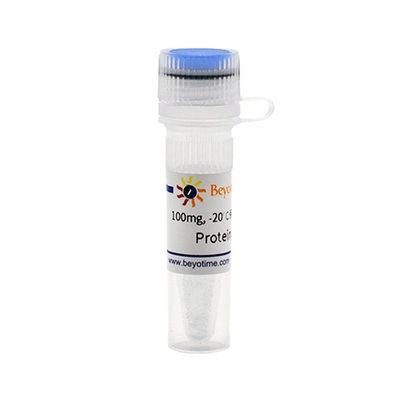 碧云天  ST535-100mg 蛋白酶K Proteinase K  500mg 2g