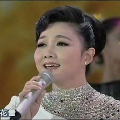 王莉 幸福家园 美好安徽 高品质伴奏 带伴唱版 无伴唱版