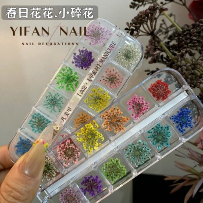 小清新干花彩色小碎花美甲饰品