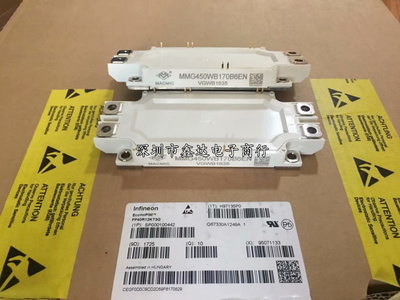 MMG450WB170B MMG450WB170B6EN MMG600WB170B6EN MMG300WB170B