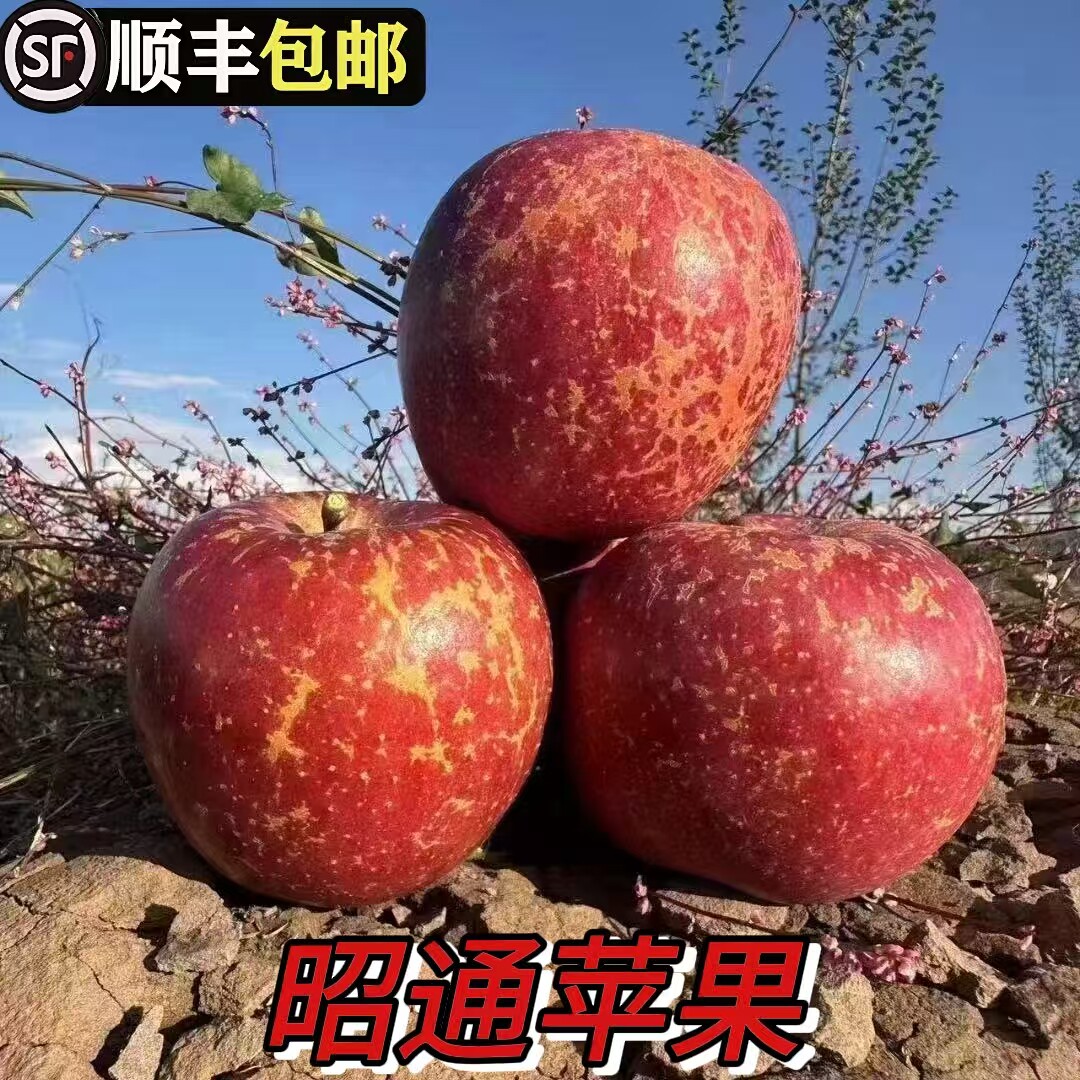 昭通冰糖心丑苹果原产地直发整件包邮【品质保证】