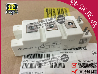 BSM75GB170DN2 BSM100GB120DN2K/FF75R12RT4全新原装